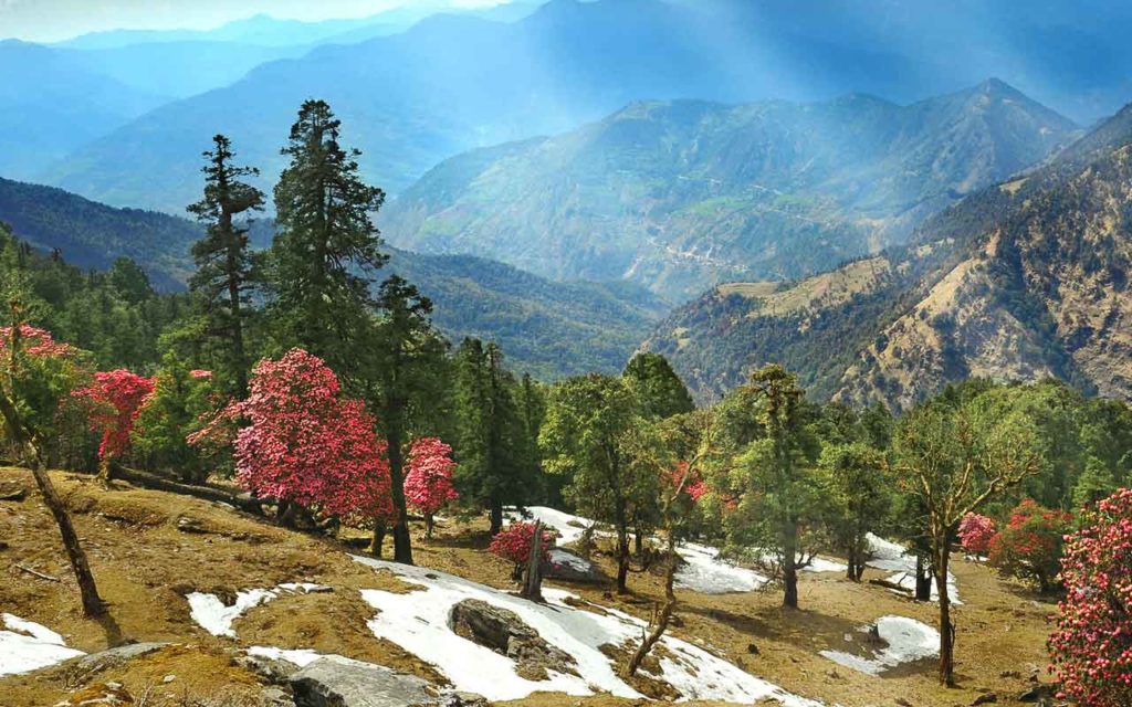 Almora