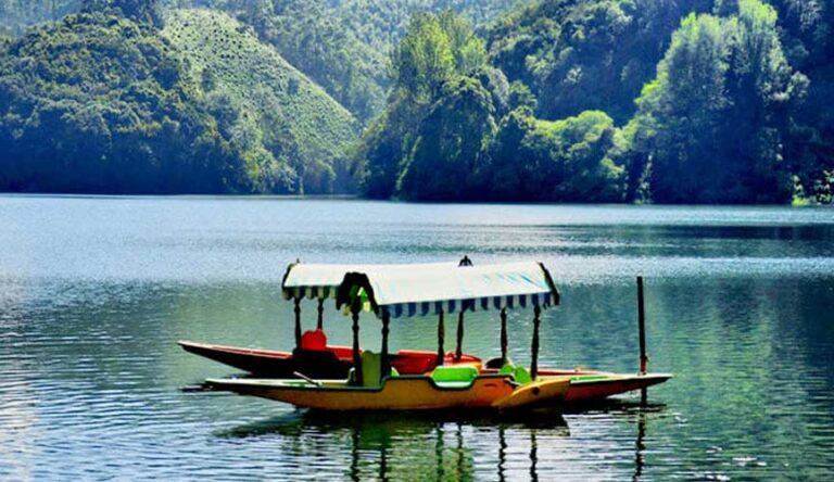 Munnar Travel Guide: Everything You Need to Know for an Unforgettable Trip