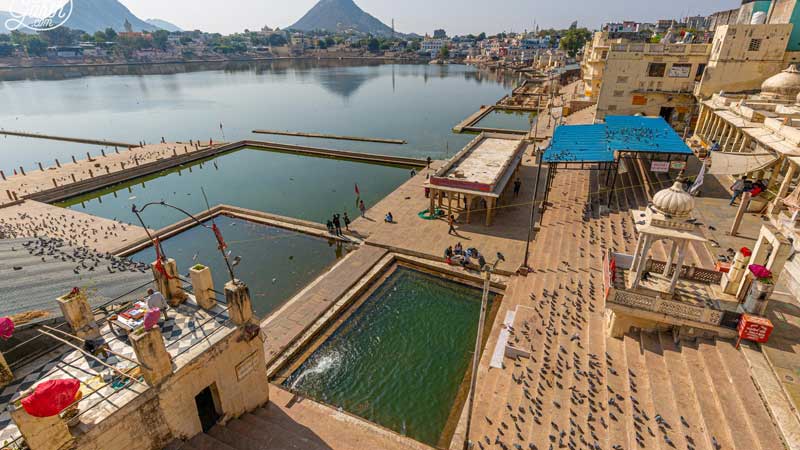 The Magic of Rajasthan: Palaces, Food, Forts & Colors
